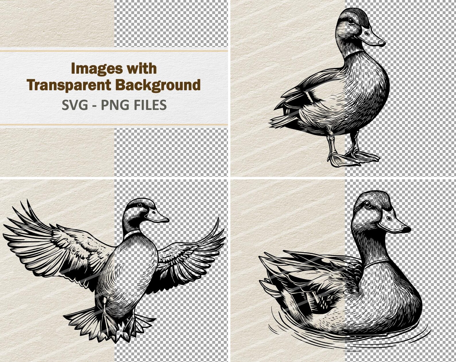 Vector Mallard Duck Clipart - Line Art Digital Illustration Wild Duck ...