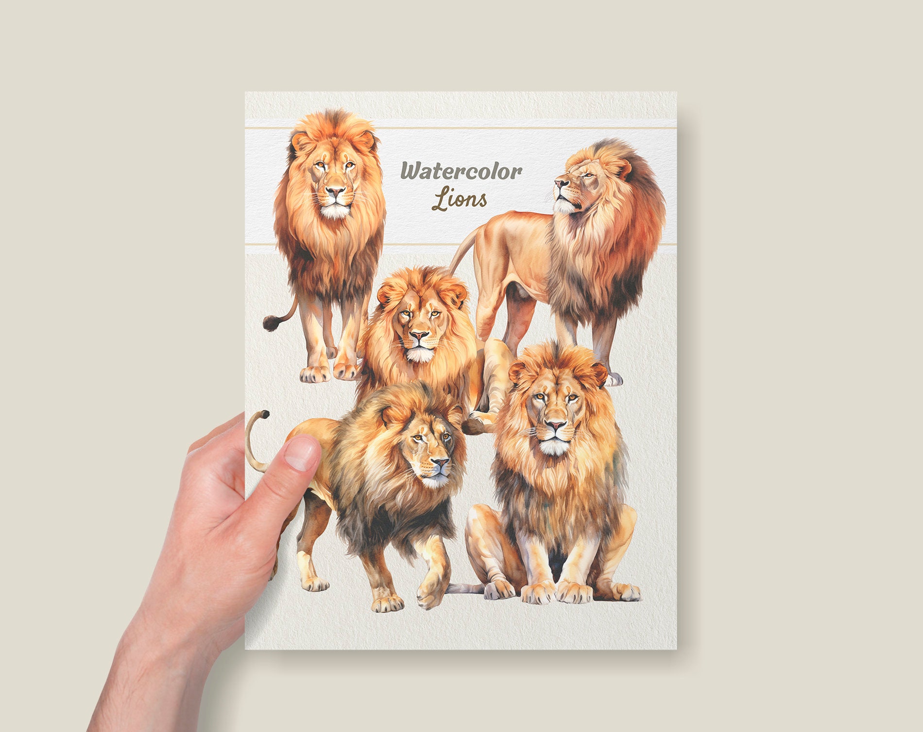 Watercolor Lions Clipart - Digital Illustration - Lion PNG - Commercial ...