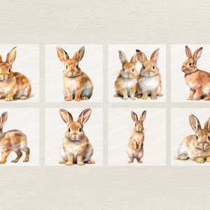 Watercolor Bunnies Clipart - Digital Illustration Bunny - Rabbit PNG ...