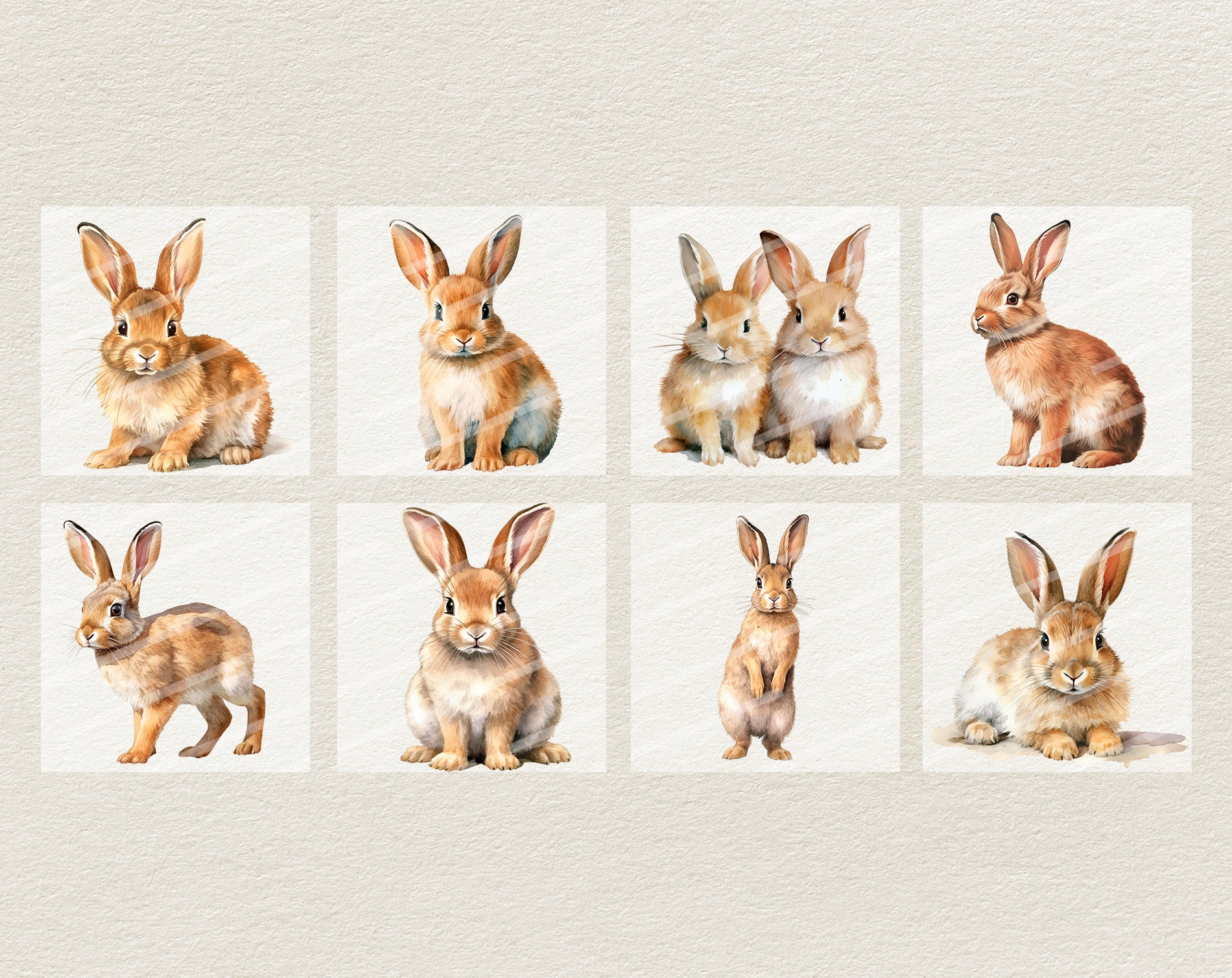 Watercolor Bunnies Clipart Digital Illustration Bunny Rabbit PNG ...