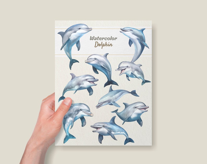 Watercolor Dolphin Clipart Digital Illustration Dolphins Bottlenose ...