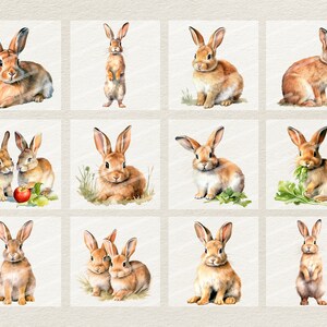 Watercolor Bunnies Clipart Bundle - Digital Illustration Bunny - Rabbit ...