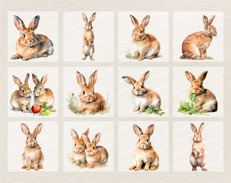 Watercolor Bunnies Clipart Bundle - Digital Illustration Bunny - Rabbit ...