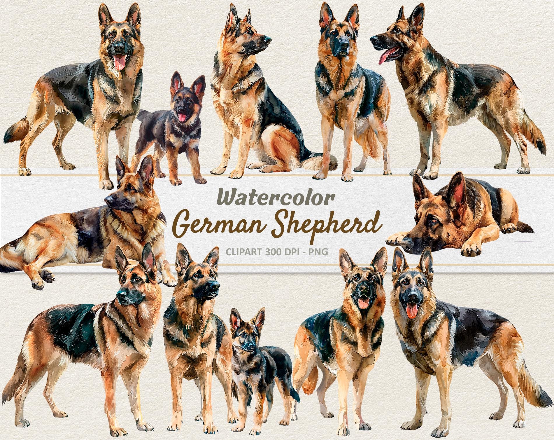 Watercolor German Shepherd Clipart - Digital Illustration Alsatian ...