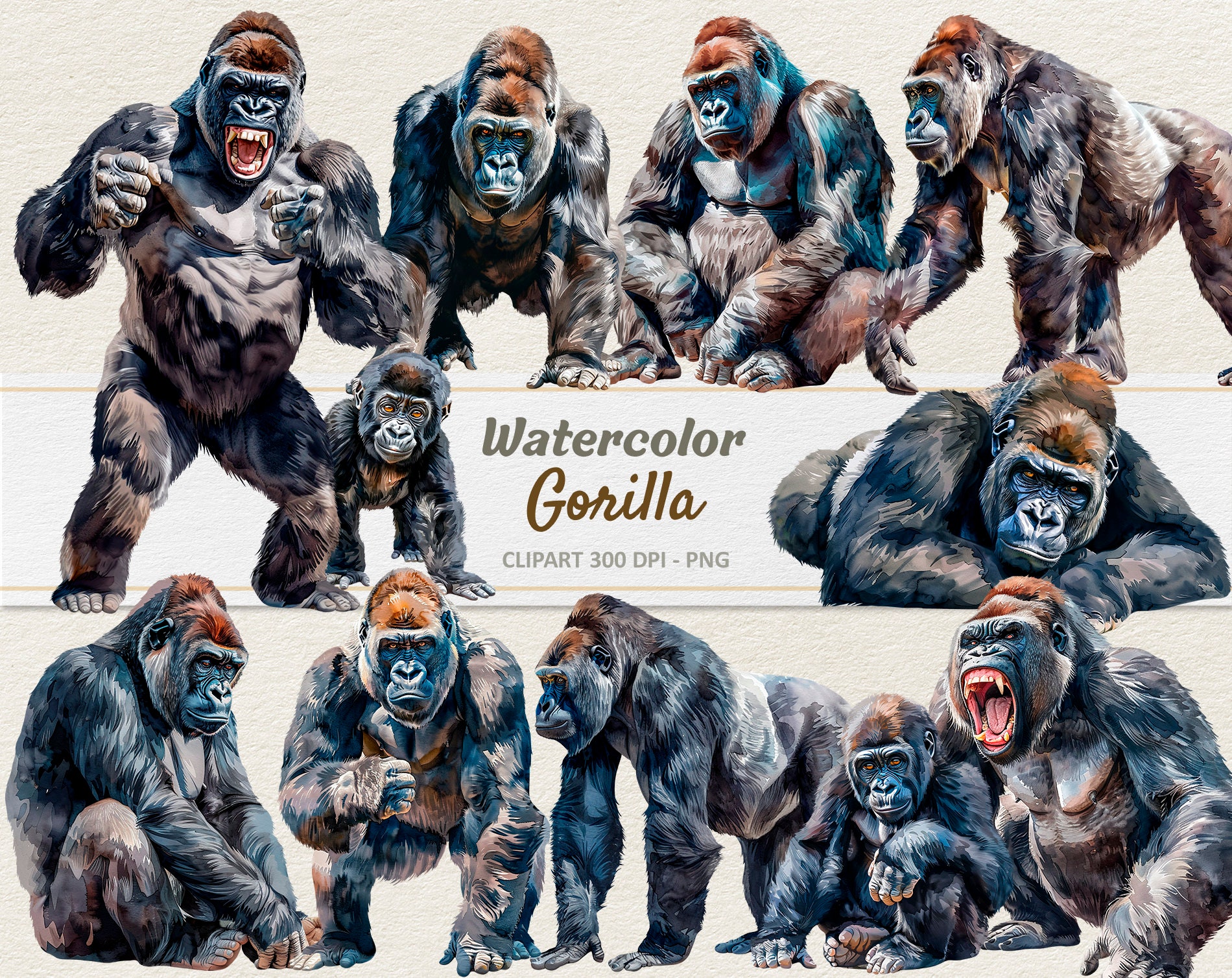 Watercolor Gorilla Clipart- Digital Illustration Great Ape - Silverback ...