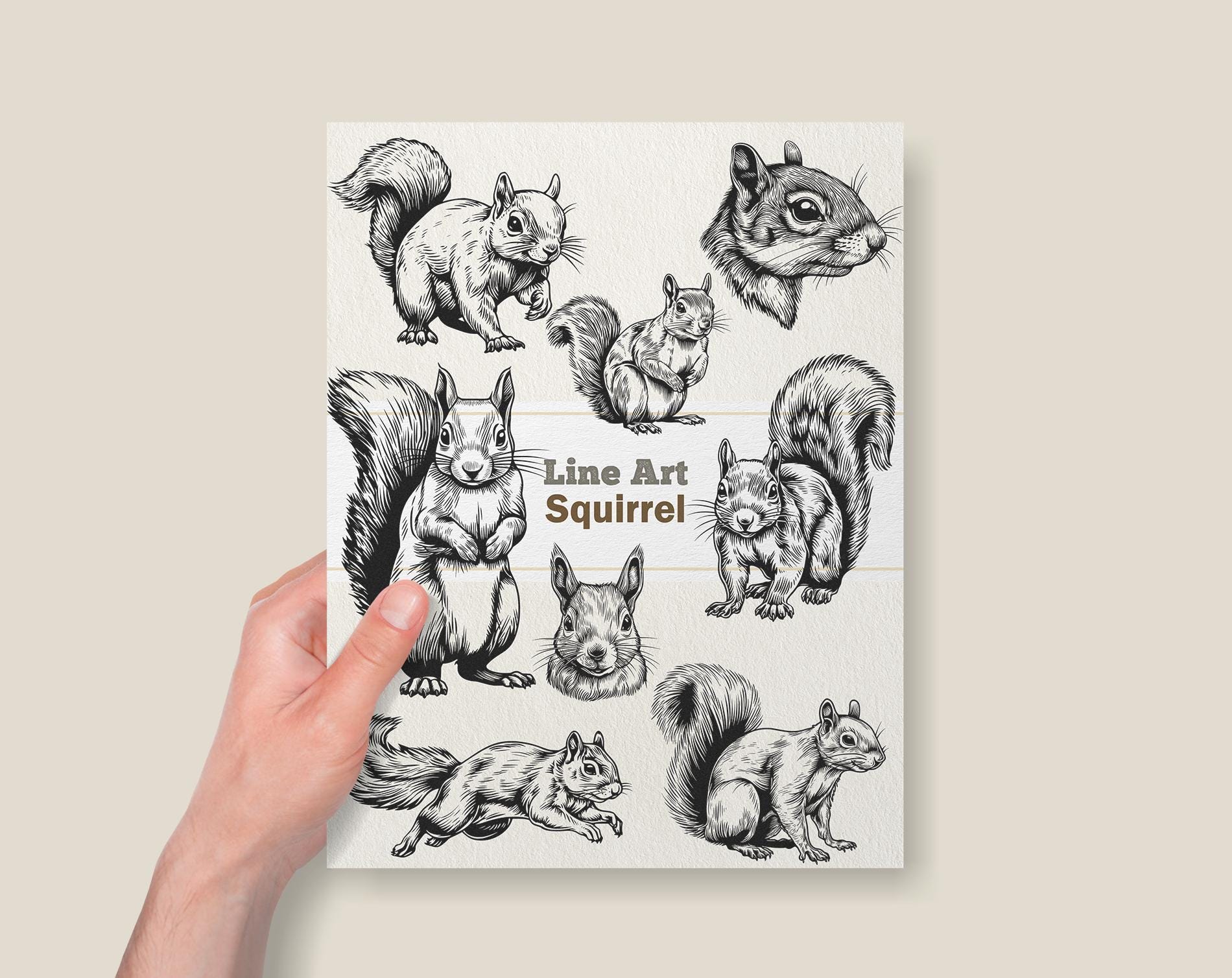 Vector Squirrel Clipart - Line Art Digital Illustration - Forest Rodent ...