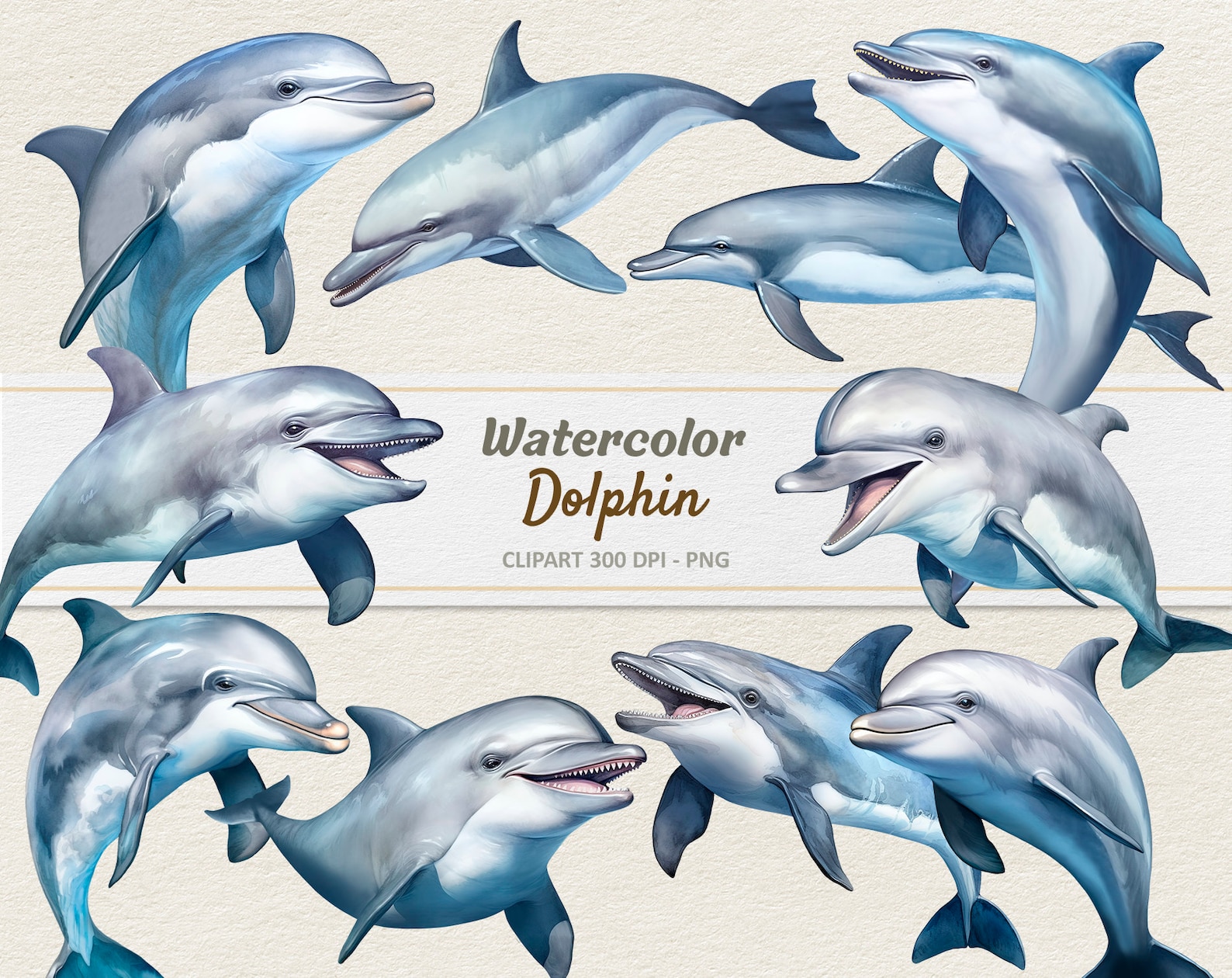 Watercolor Dolphin Clipart - Digital Illustration Dolphins - Bottlenose ...