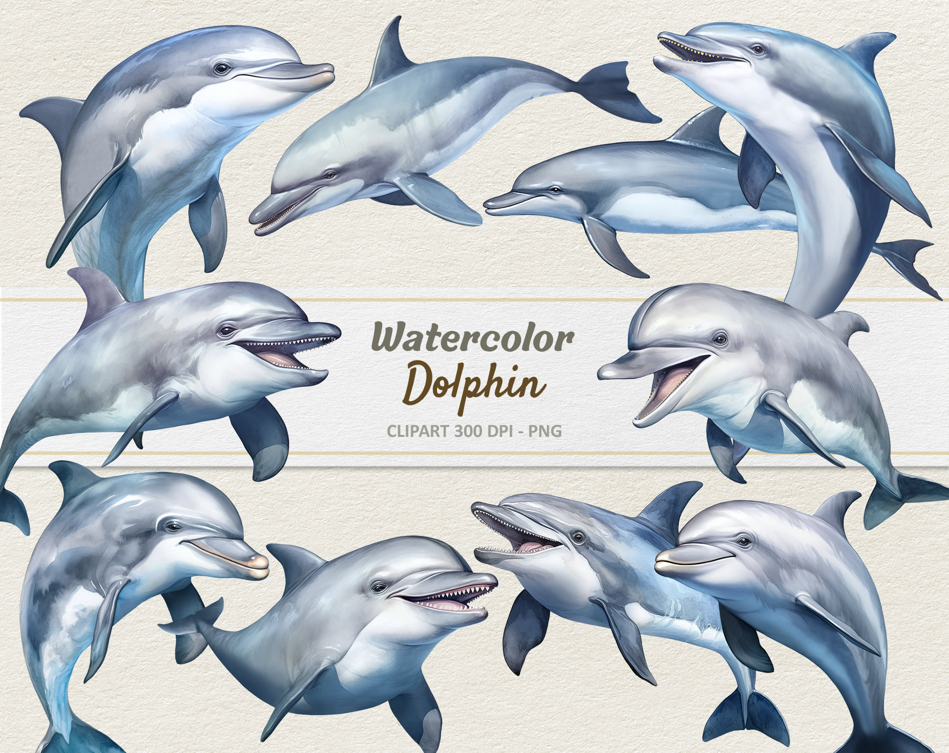 Clipart Dolphin