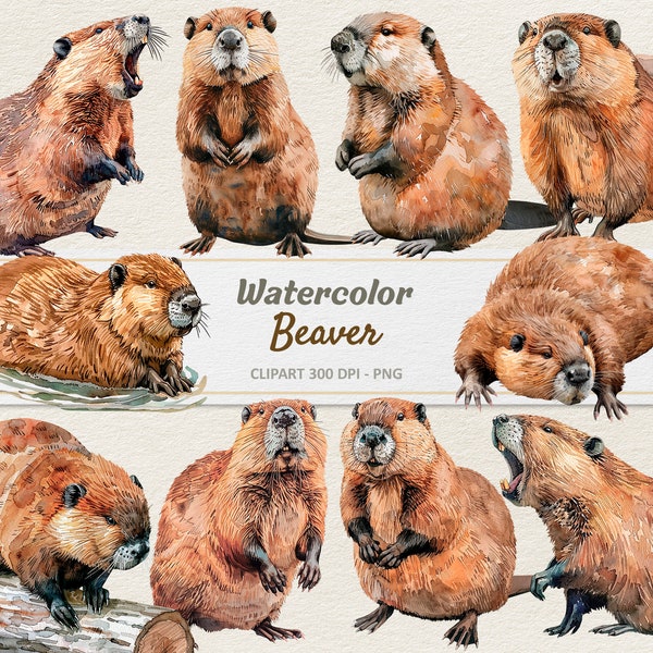 Beaver - Etsy