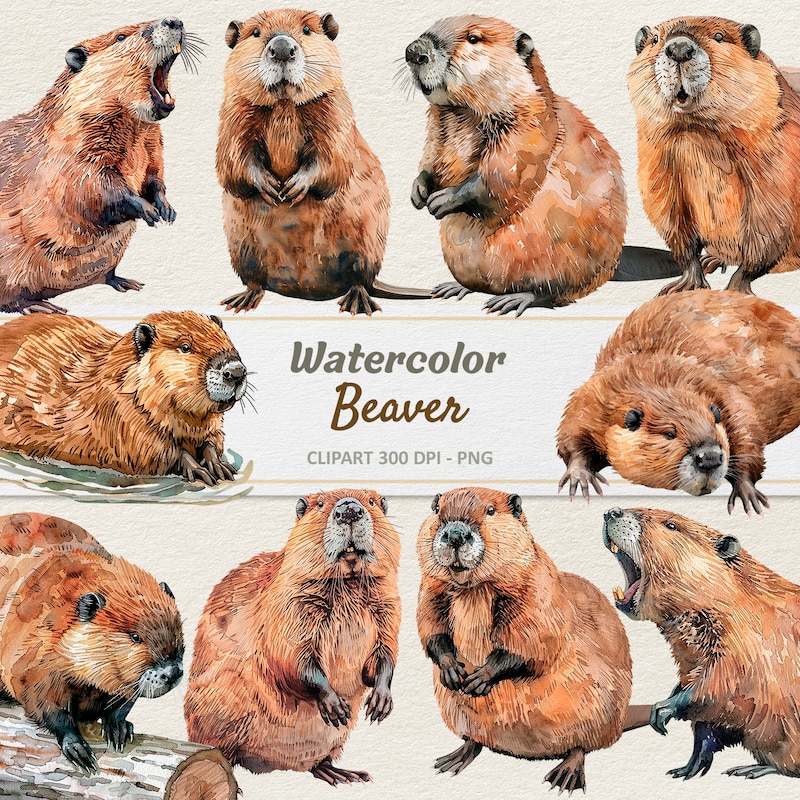 Beaver - Etsy