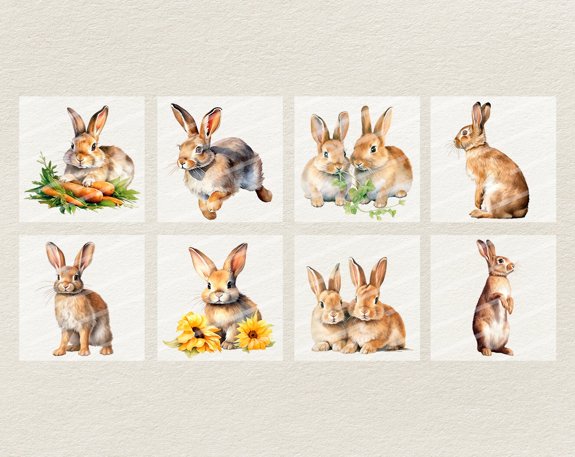 Watercolor Bunnies Clipart V2 Digital Illustration Bunny Rabbit PNG ...