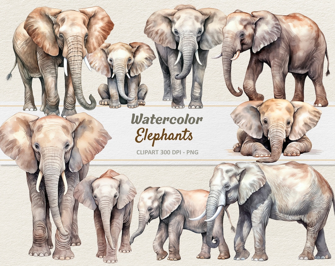 Watercolor Elephants Clipart - Digital Illustration - Baby Elephant PNG ...