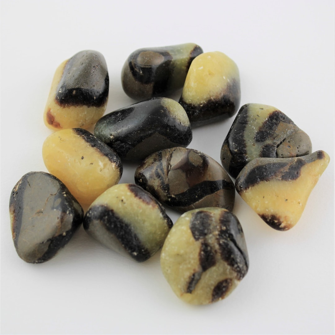 Septarian Tumbled Stone 1pc Crystal Healing Polished MINERALS High ...