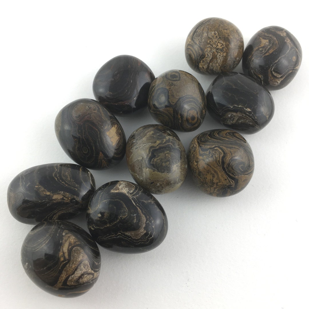 Stromatolite Stone Tumbled MINERALS Stones Mineral Crystal Healing - Etsy