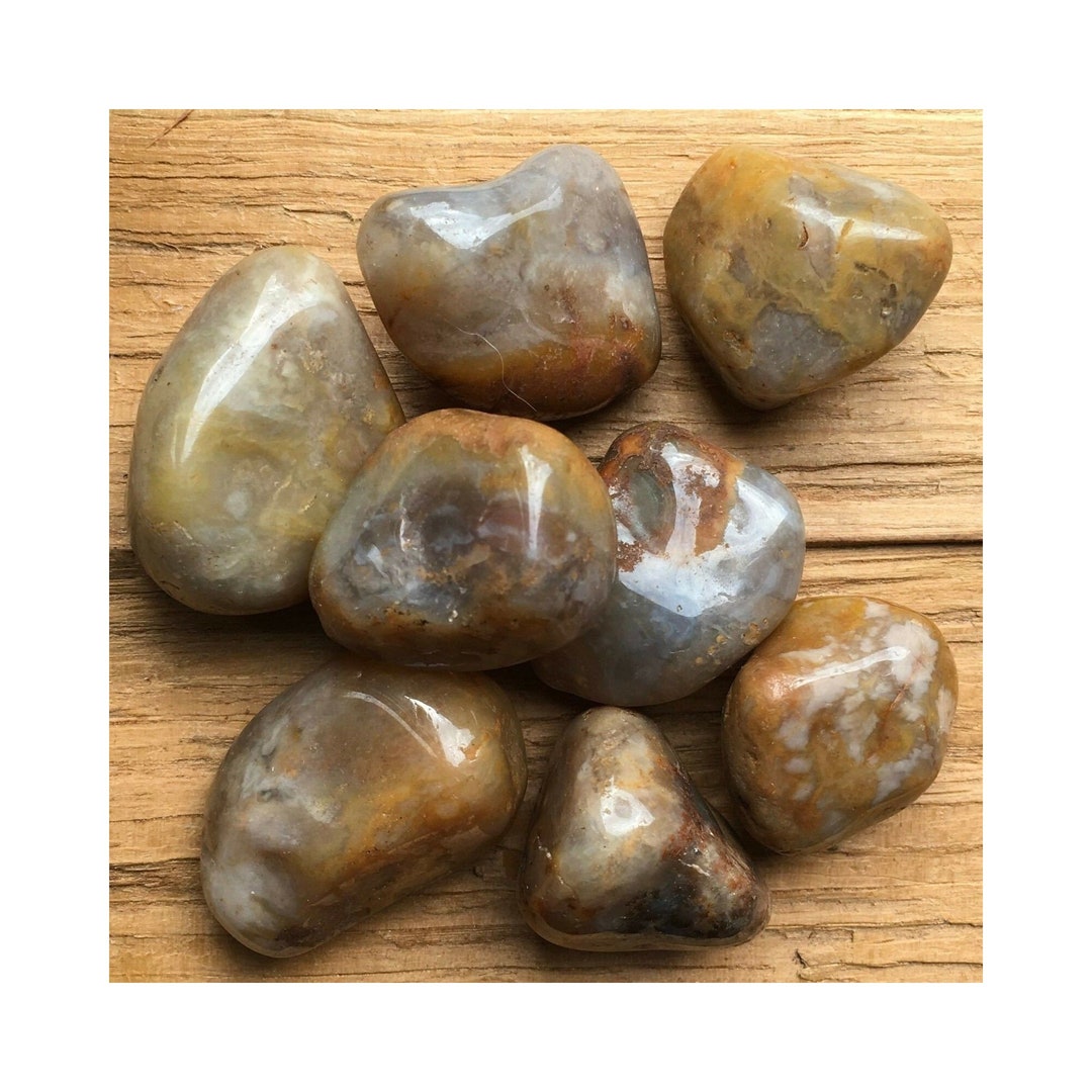 COPROLITE Dinosaur Fossilized Poo BIG Tumbled Stones Crystal Healing ...