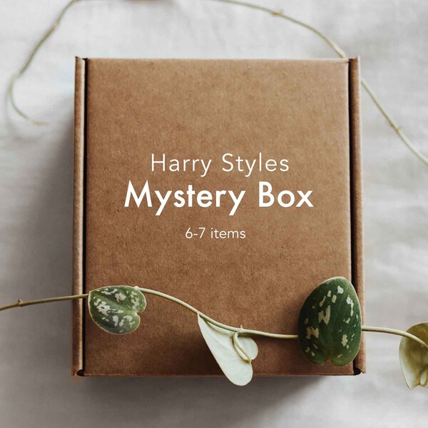 Harry Styles Room Decor - Etsy