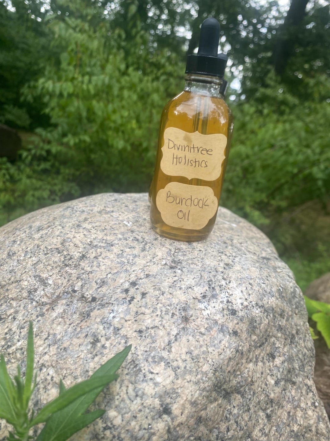 Burdock Root Oil - Etsy