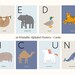 26 X Printable Animal ABC Cards or Print as Posters for Safari Jungle ...