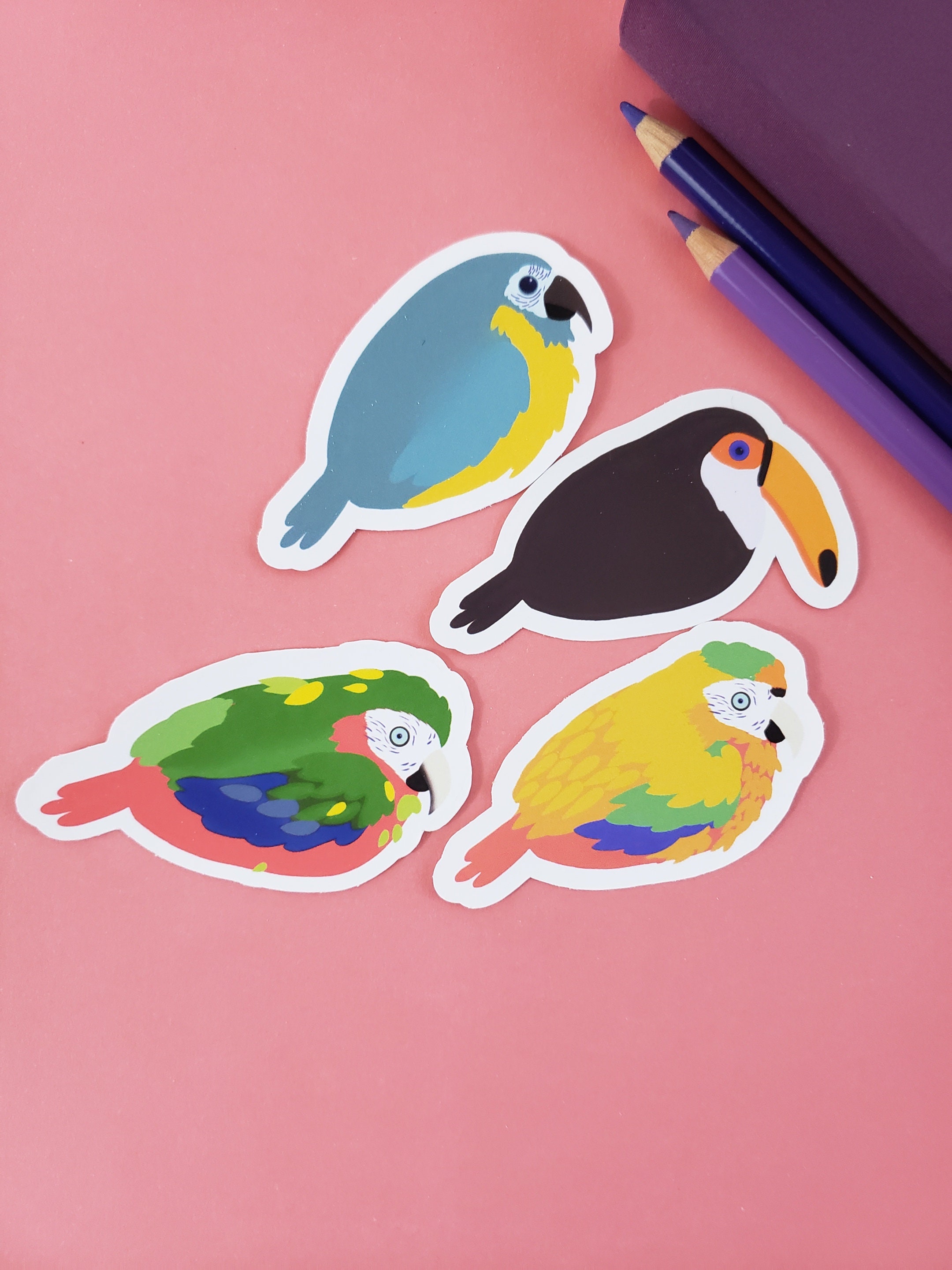 3 Vinyl Parrot Stickers for Bird Lovers - Etsy