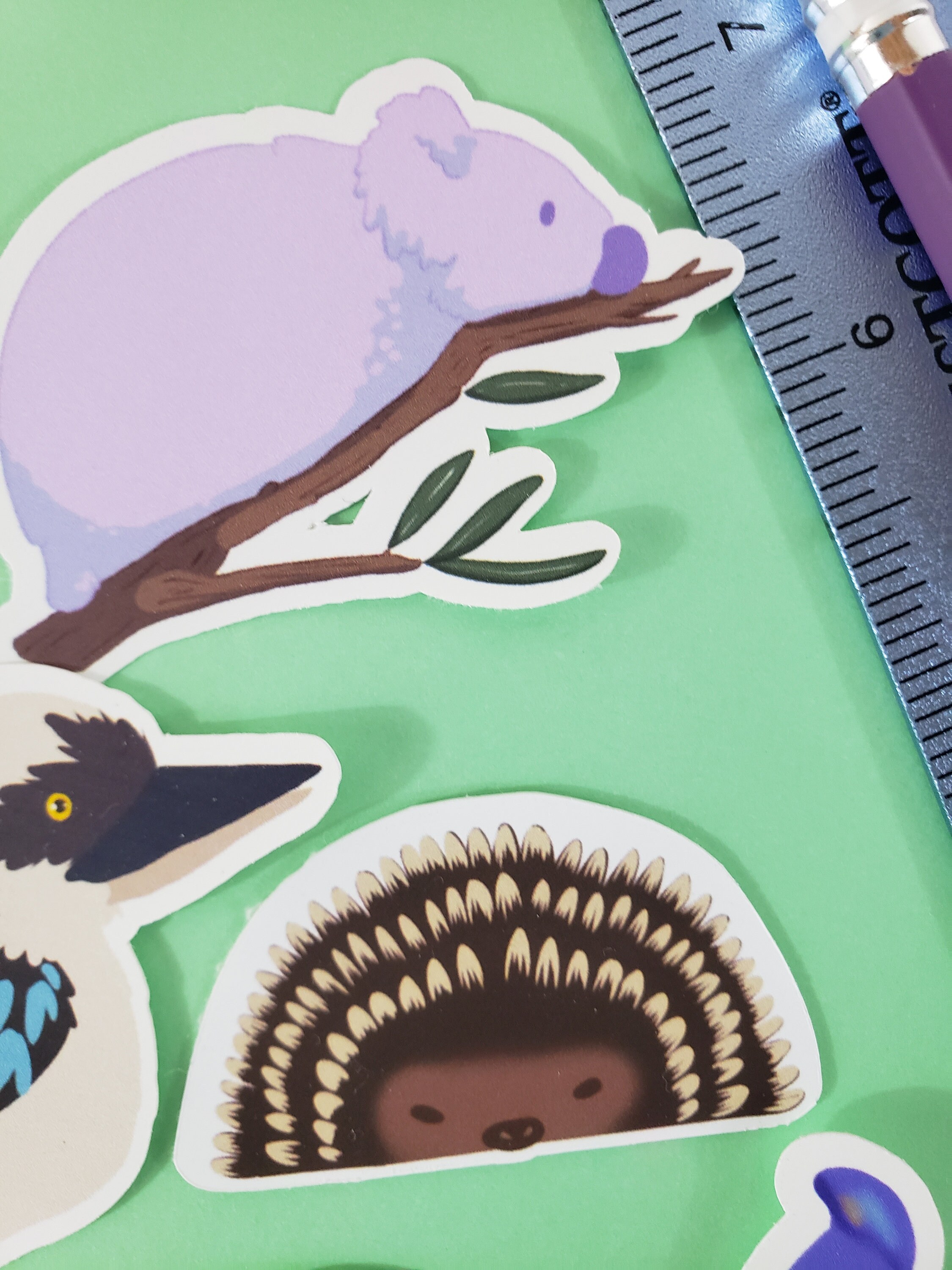 Australian Animal Sticker Pack for Animal Lovers | Digital Illustration ...
