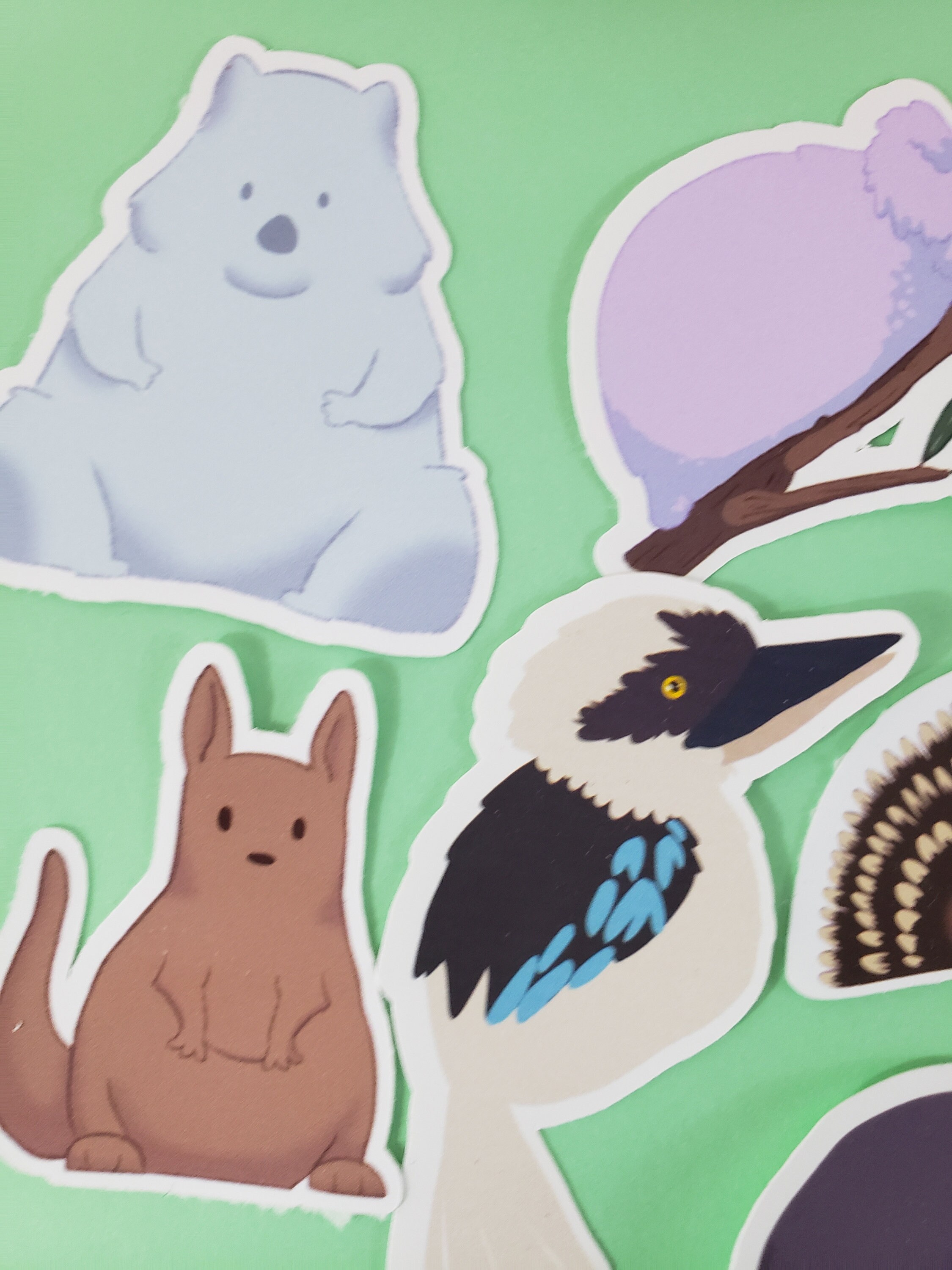 Australian Animal Sticker Pack for Animal Lovers | Digital Illustration ...