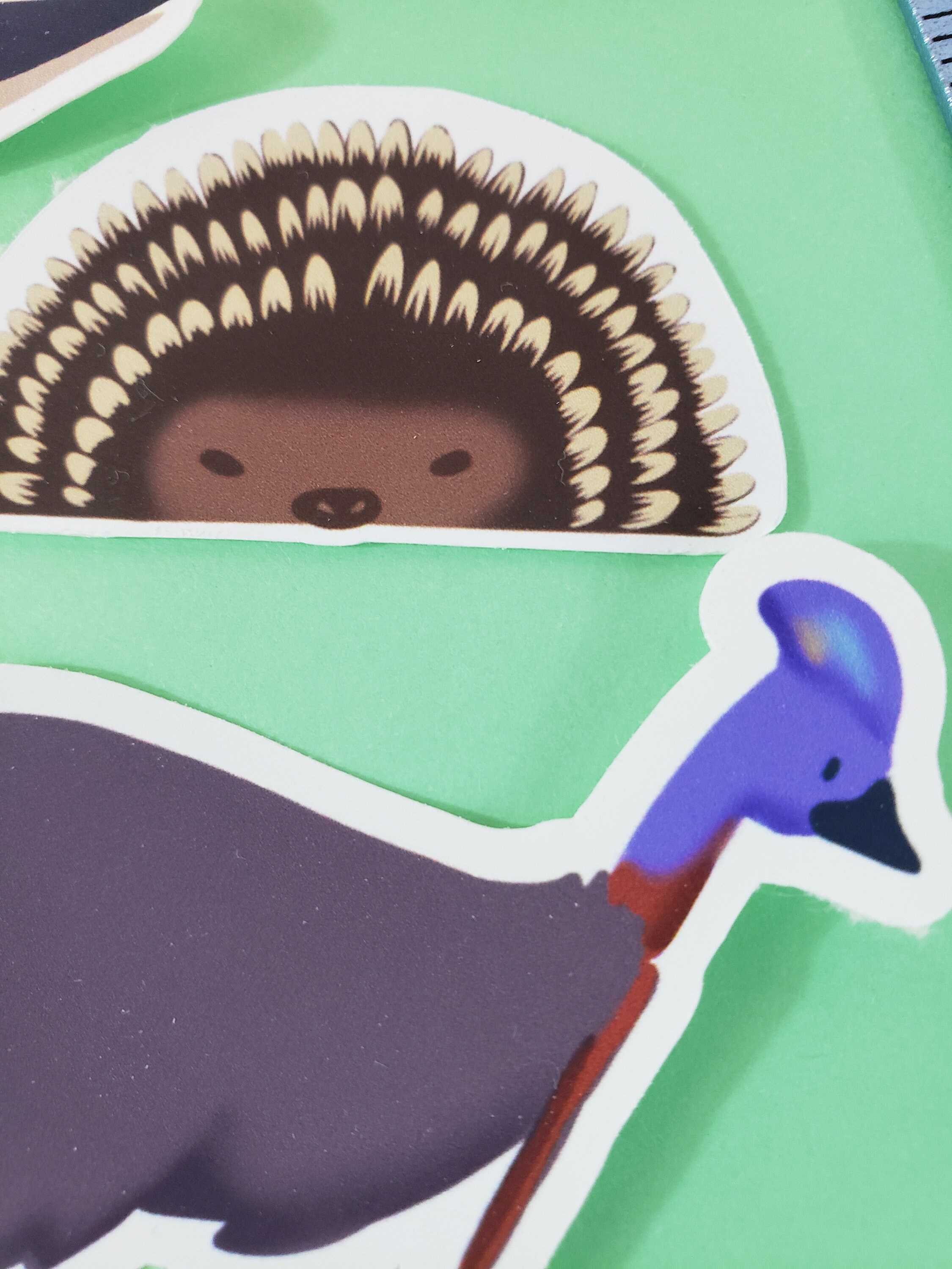 Australian Animal Sticker Pack for Animal Lovers | Digital Illustration ...