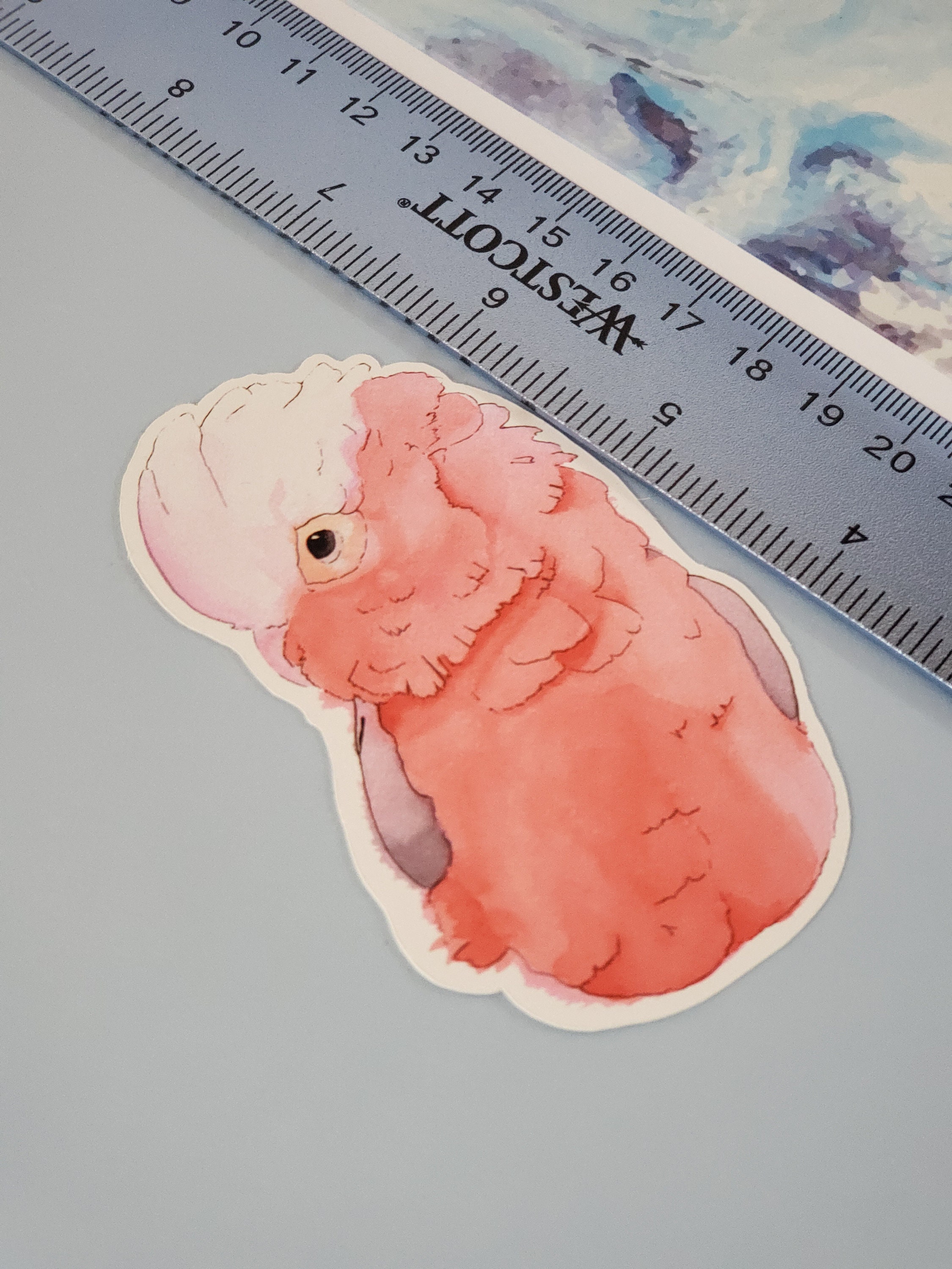 3.5 Parrot Vinyl Sticker for Bird Lovers - Etsy