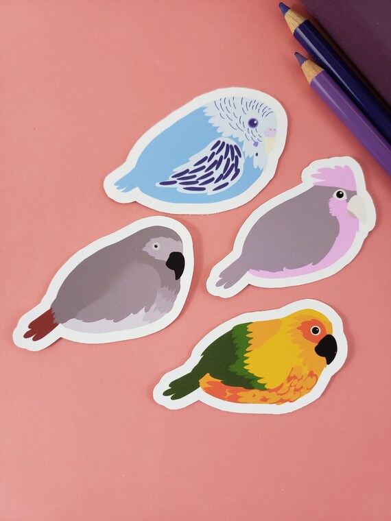 3 Vinyl Parrot Stickers for Bird lovers | Etsy