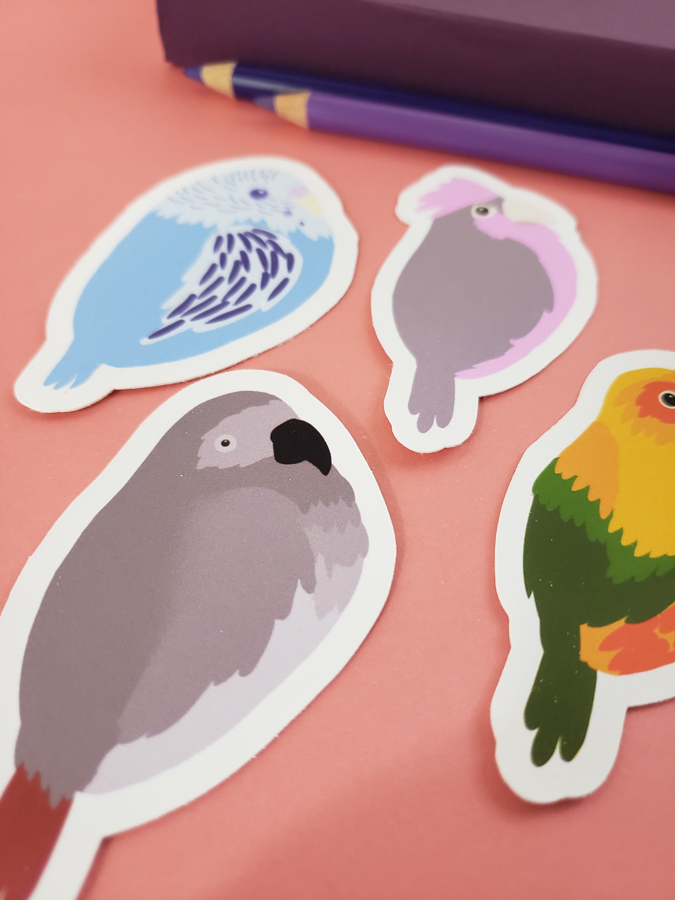 3 Vinyl Parrot Stickers for Bird Lovers - Etsy