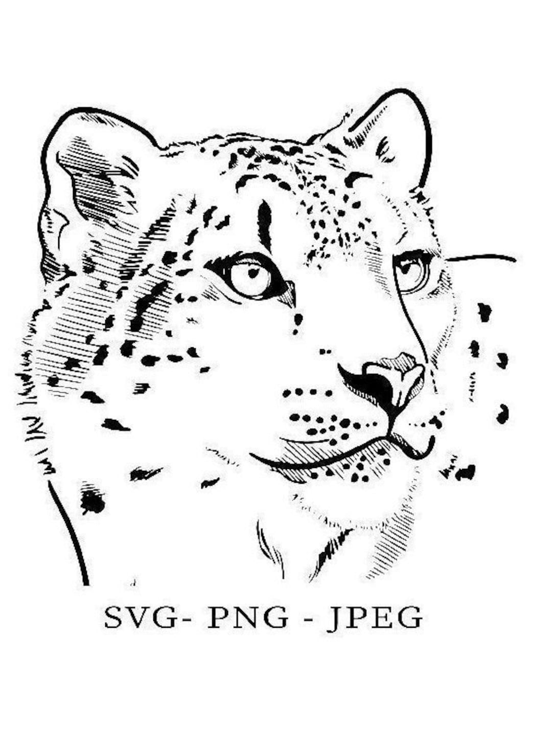 Snow Leopard Line Art, SVG/PNG/JPEG Digital Art File, Instant Download ...