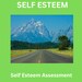 Self Esteem Questionnaire - Etsy