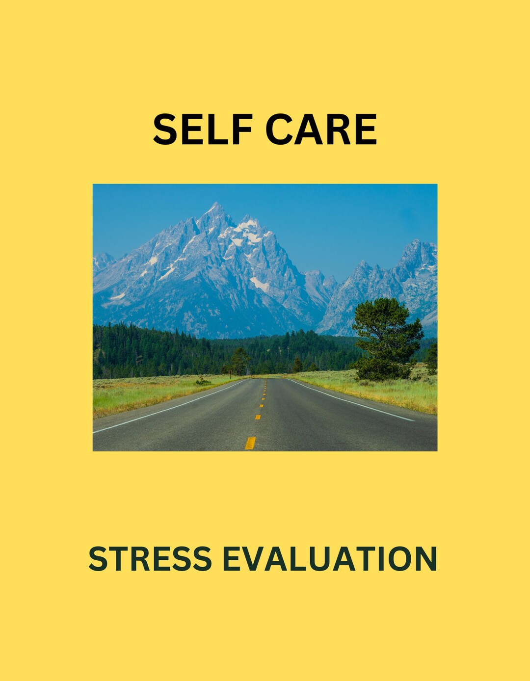 Stress Level Assessment - Etsy
