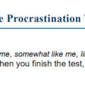 Procrastination Assessment and E Book - Etsy