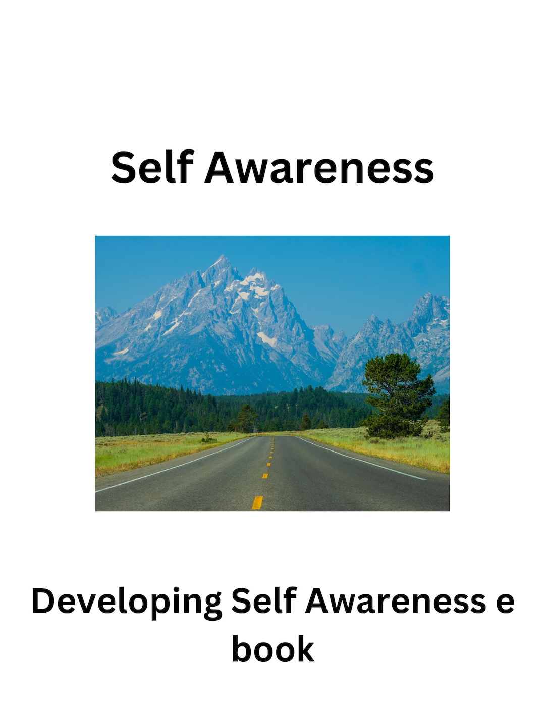Self Awareness E Book (and Bonus Personality Assessment) - Etsy
