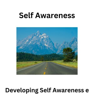 Self Awareness E Book (and Bonus Personality Assessment) - Etsy