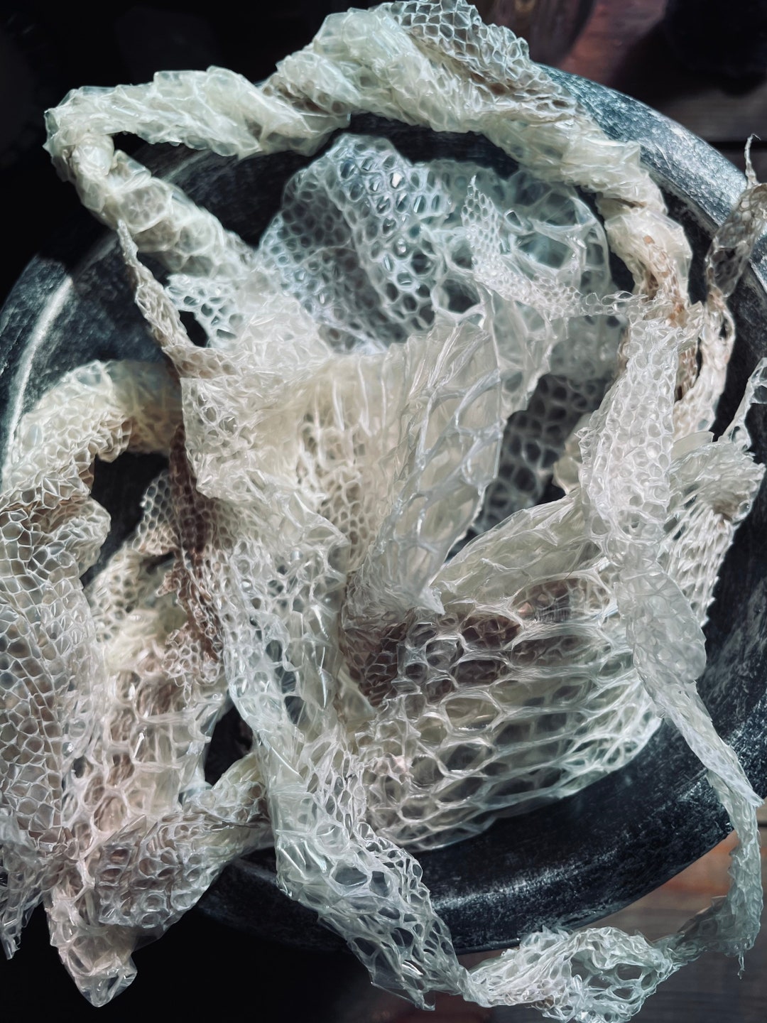 Cruelty Free Snake Skin. Ball Python. Natural Shed. - Etsy