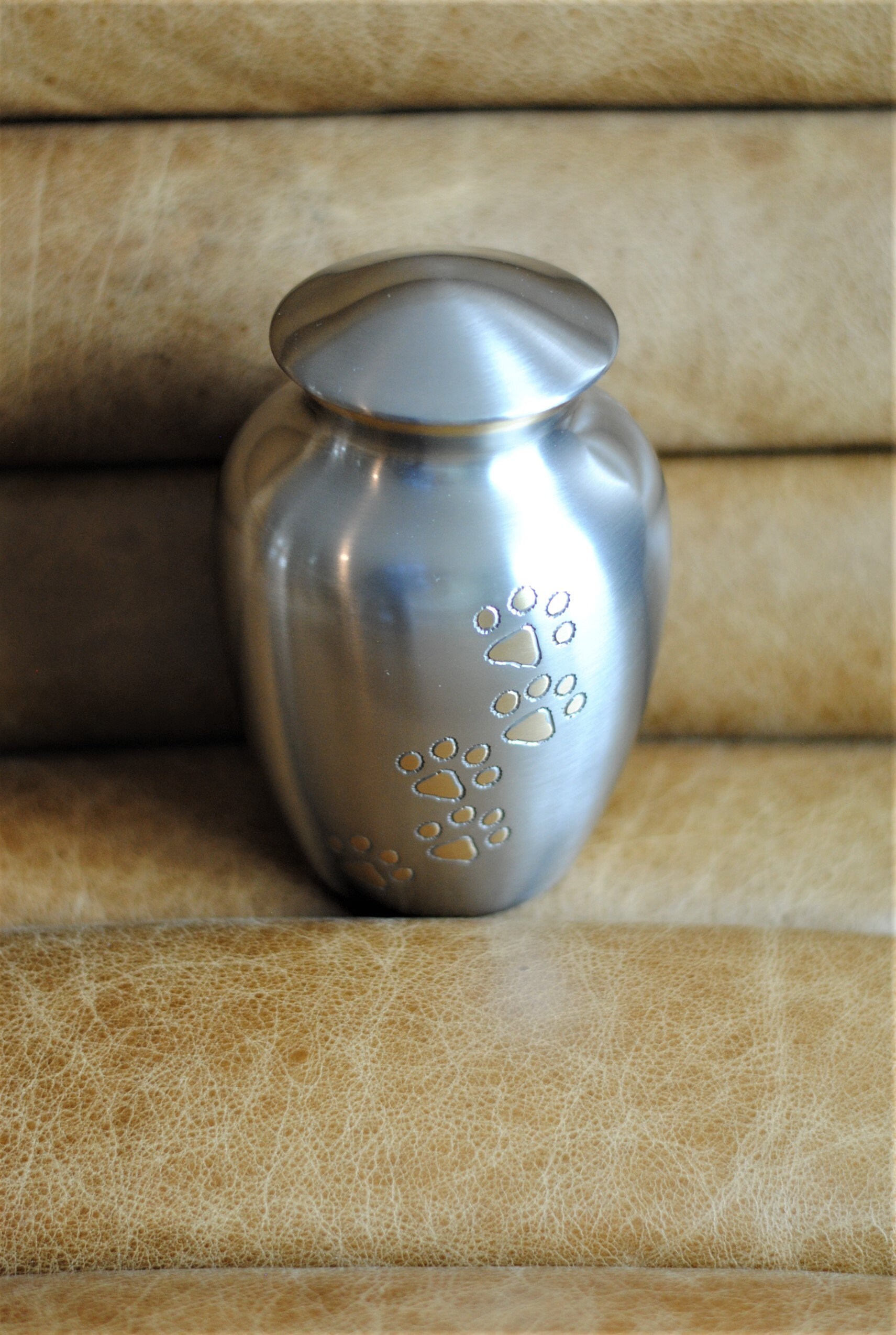 Cute Paws on Silver : Pet Ashes Cremation Urn Brass Golden | Etsy