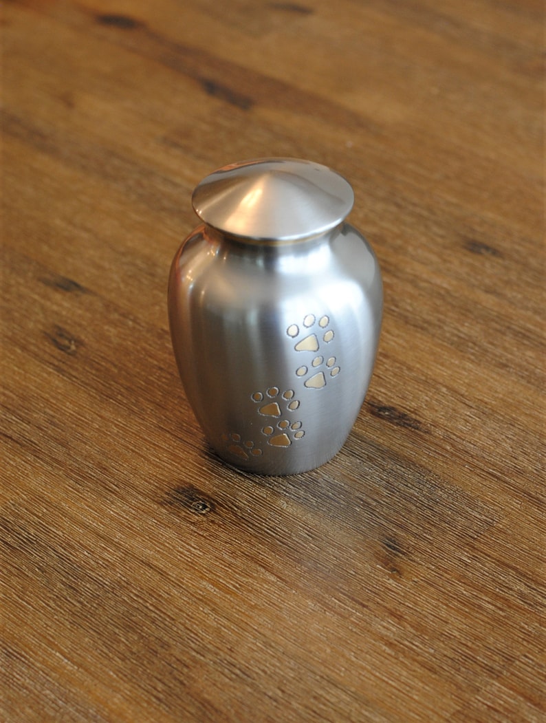 Cute Paws on Silver : Pet Ashes Cremation Urn Brass Golden - Etsy