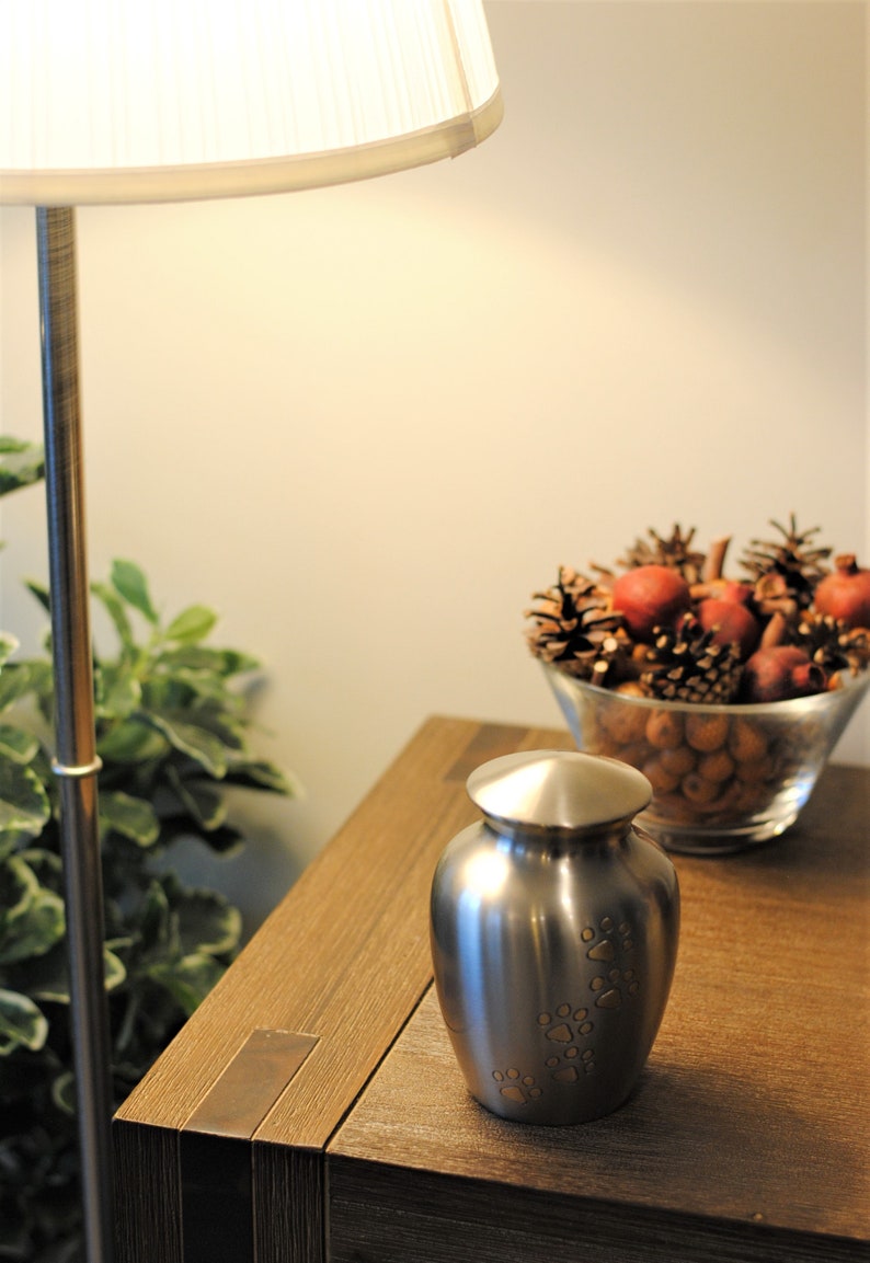 Cute Paws on Silver : Pet Ashes Cremation Urn Brass Golden - Etsy