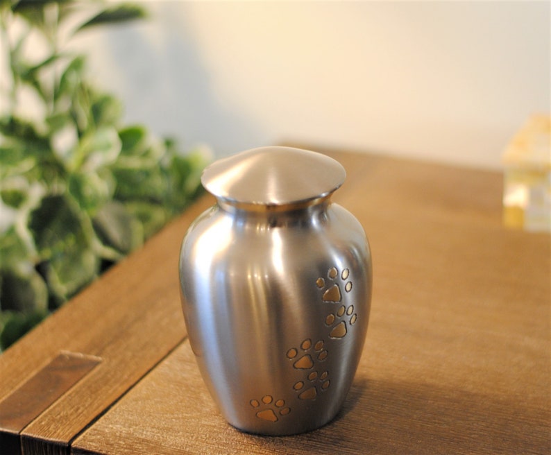 Cute Paws on Silver : Pet Ashes Cremation Urn Brass Golden - Etsy