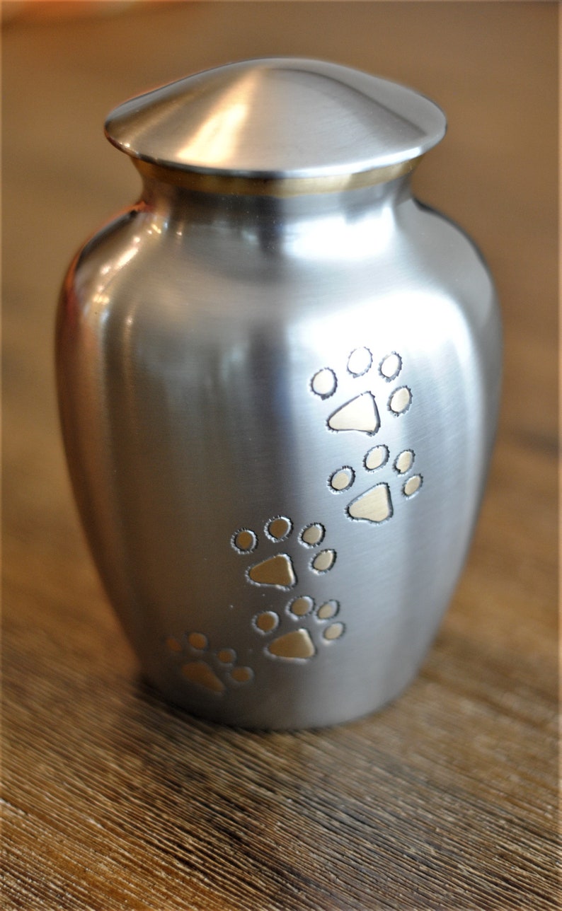 Cute Paws on Silver : Pet Ashes Cremation Urn Brass Golden - Etsy