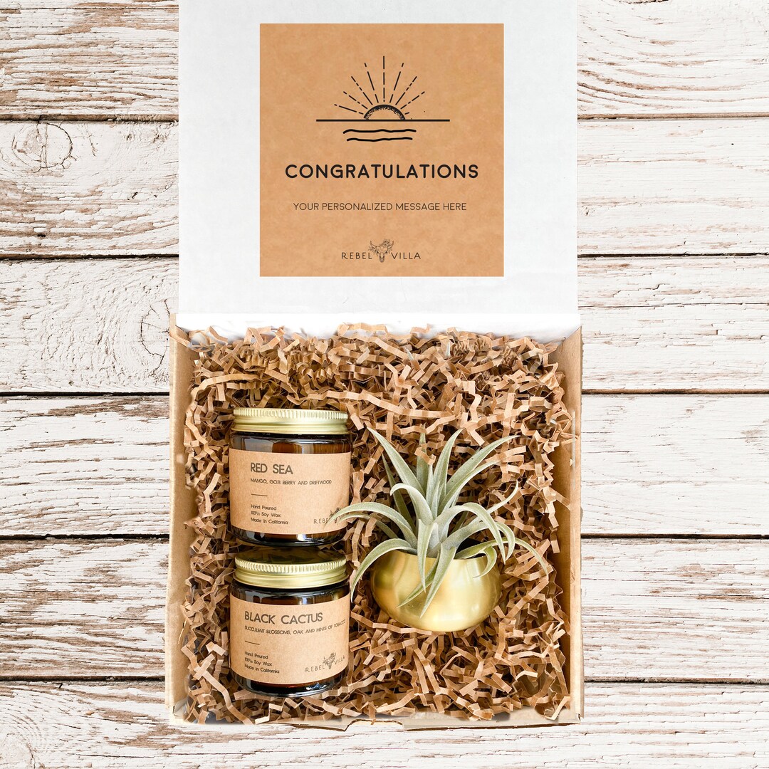 Congratulations Plant Gift Box | Congrats Basket | Co-worker Gift ...