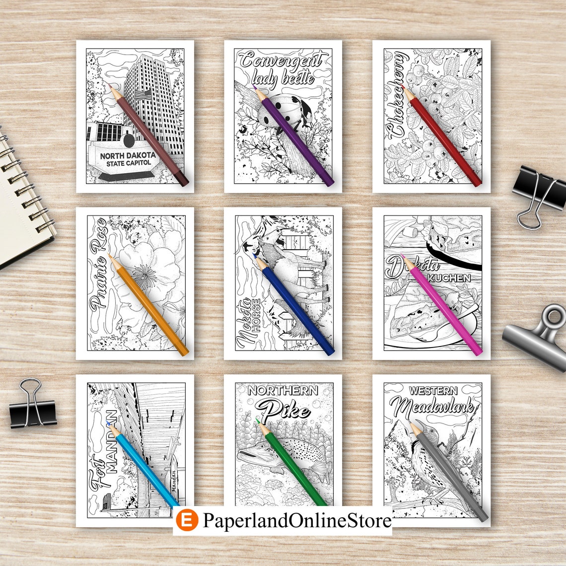 North Dakota Coloring Book Adult Painting on USA States - Etsy