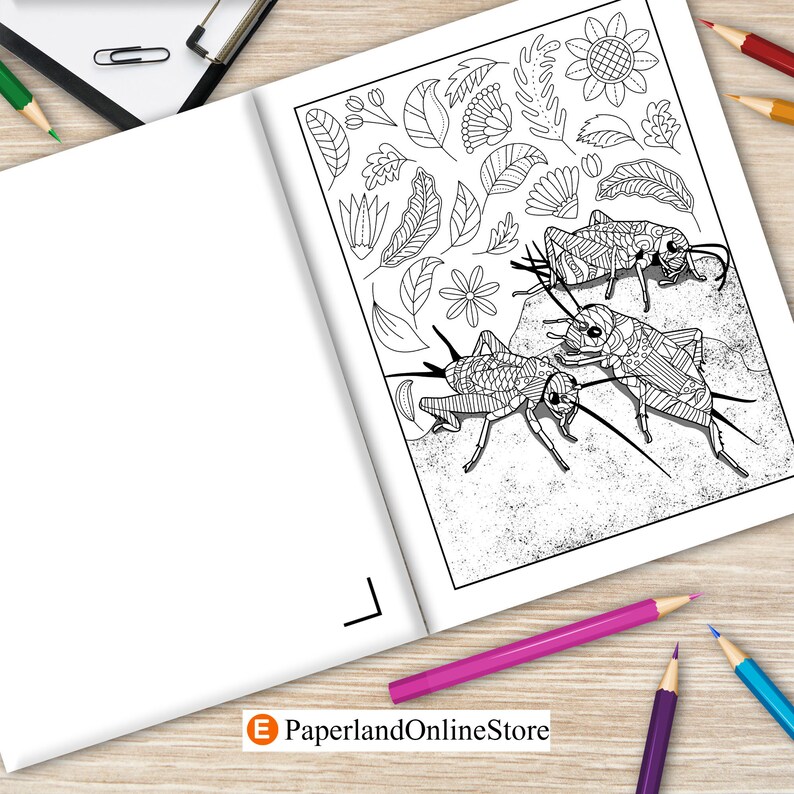 Cricket Coloring Book: Floral Mandala Zentangle Pages - Etsy