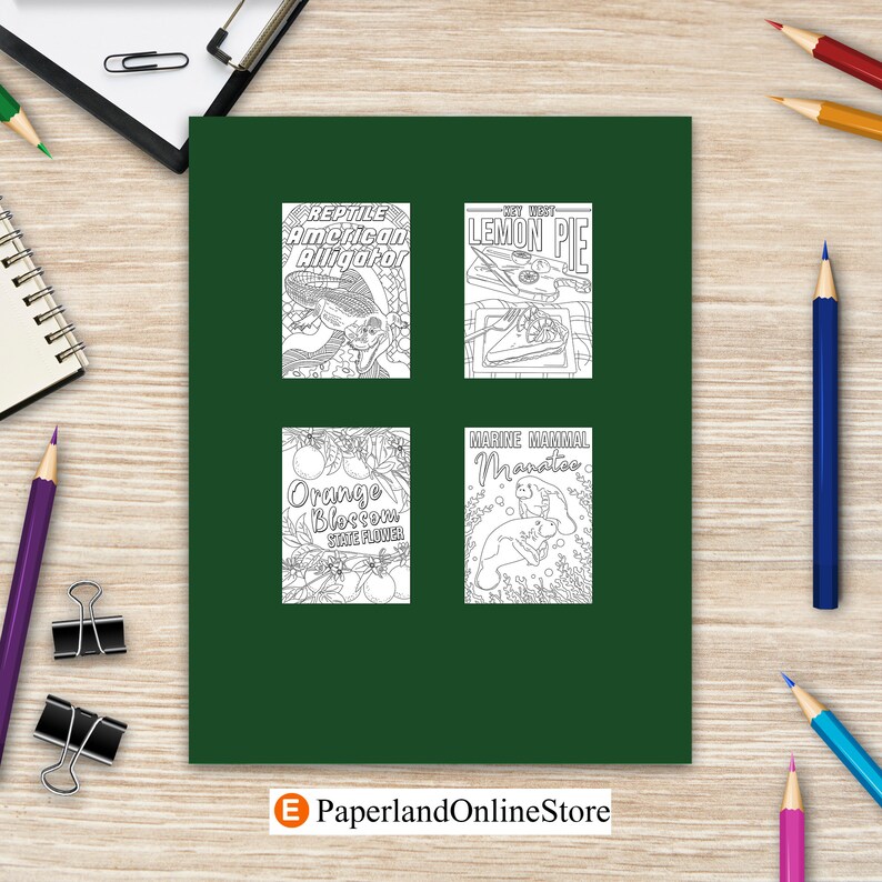 Florida Coloring Book, Coloring Books for Adults, Orange Blossom ...