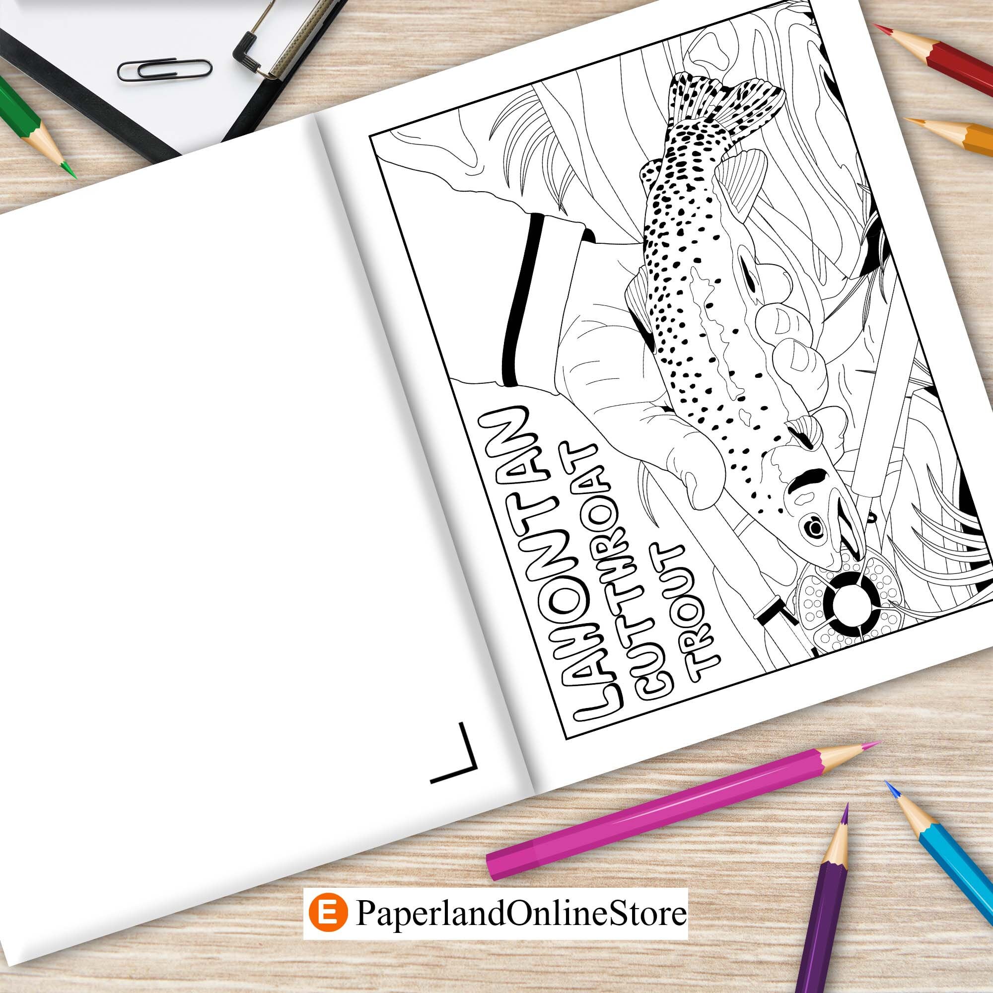Nevada Coloring Book Adult Coloring Pages Painting on USA - Etsy