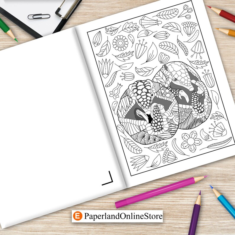 Armadillo Coloring Book: Mandala Zentangle Animal Designs - Etsy