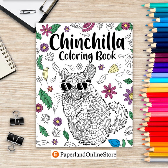 Chinchilla Coloring Pages