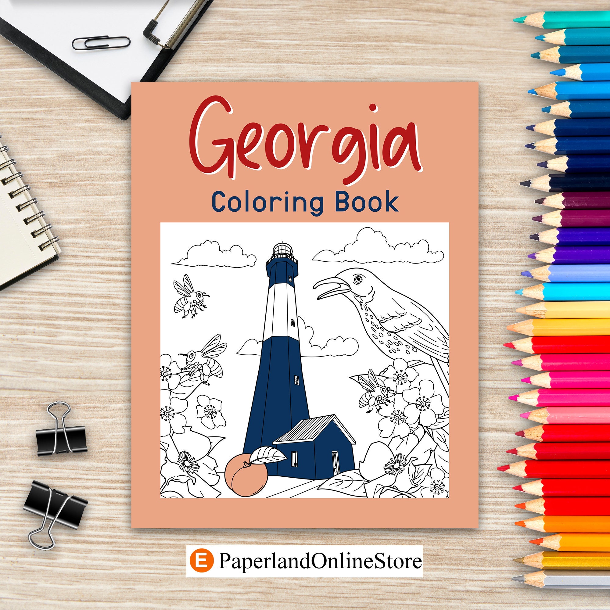 Georgia Coloring Book Adult Coloring Pages Painting on USA - Etsy
