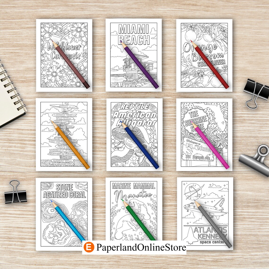 Florida Coloring Book, Coloring Books for Adults, Orange Blossom ...